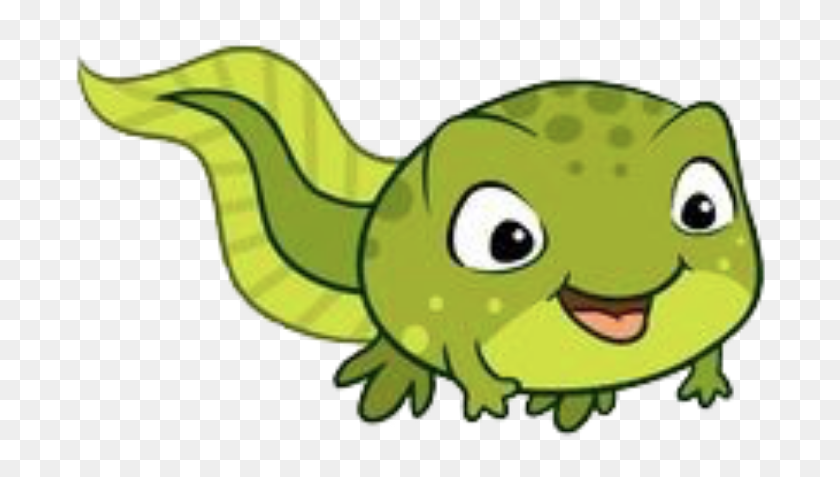 Cartoon Tadpole, HD Png Download - 1080x1080(#6749257) - PngFind