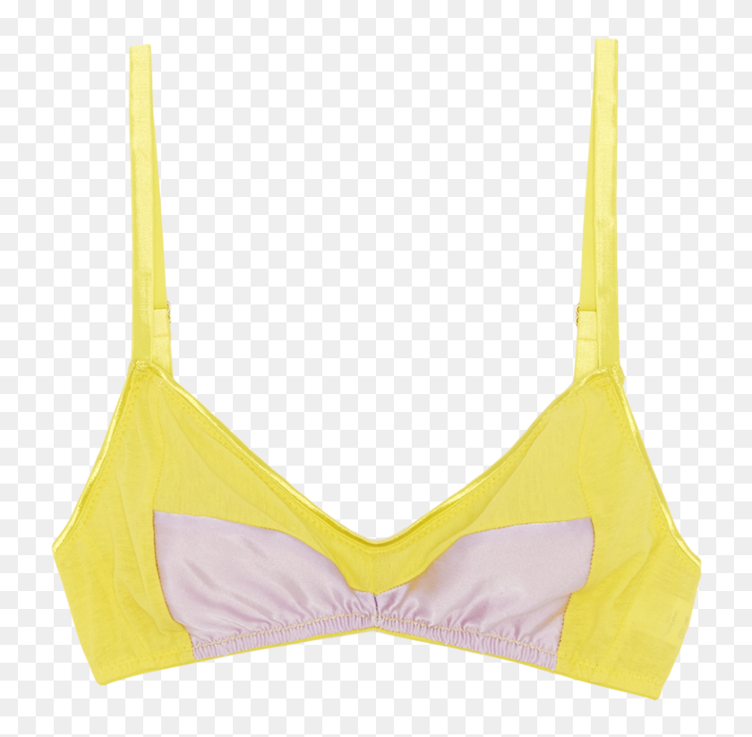 Brassiere, HD Png Download - 980x980(#6755925) - PngFind