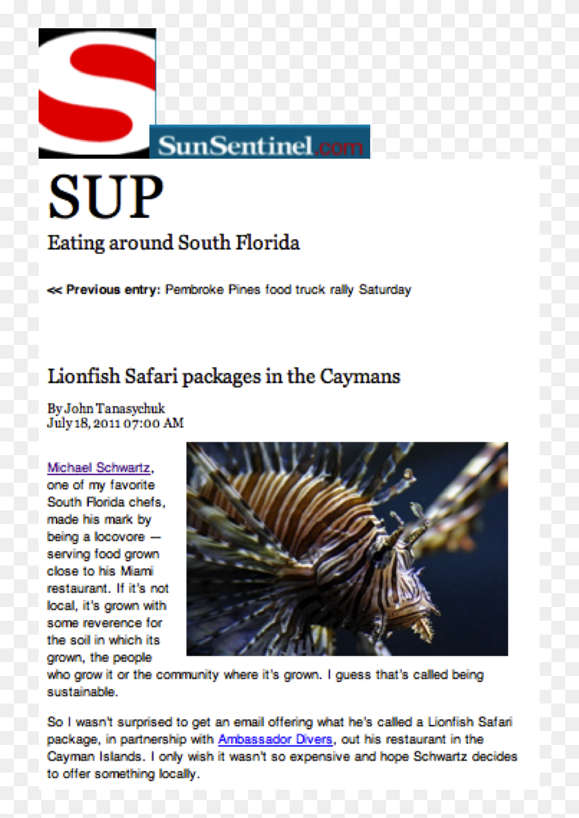 Sun Sentinel, HD Png Download - 729x1106(#6787844) - PngFind