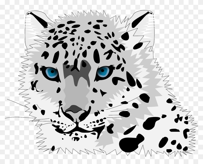 Snow Leopard Clip Art, HD Png Download - 1280x976(#6790447) - PngFind