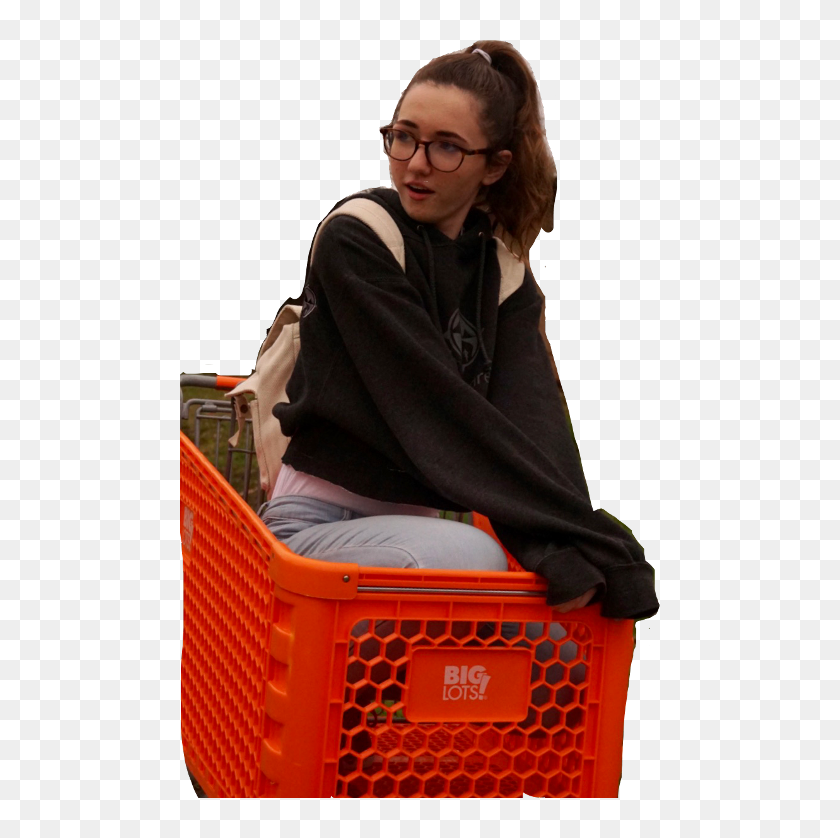 Big Lots, HD Png Download - 480x758(#6801836) - PngFind
