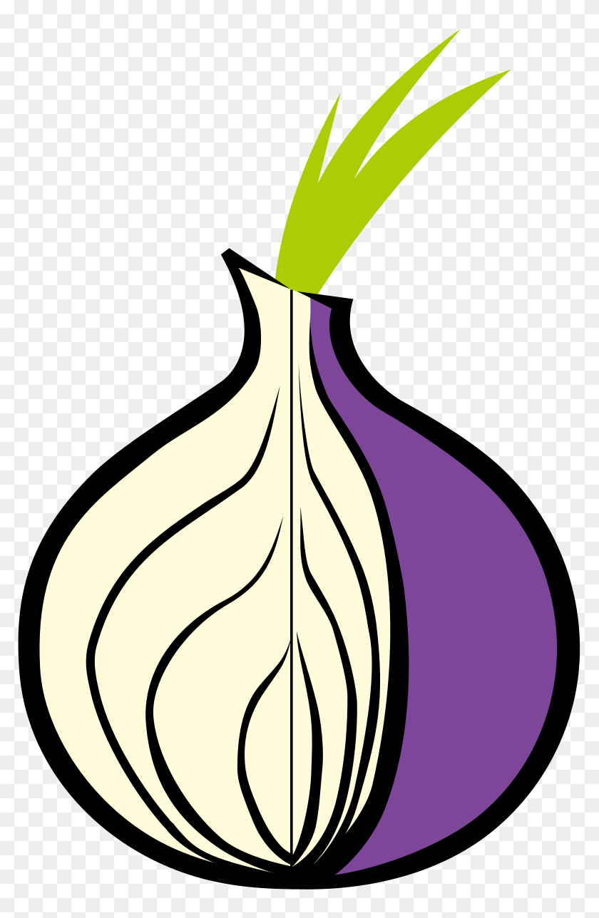 Tor Logo, HD Png Download - 789x1208(#6810943) - PngFind