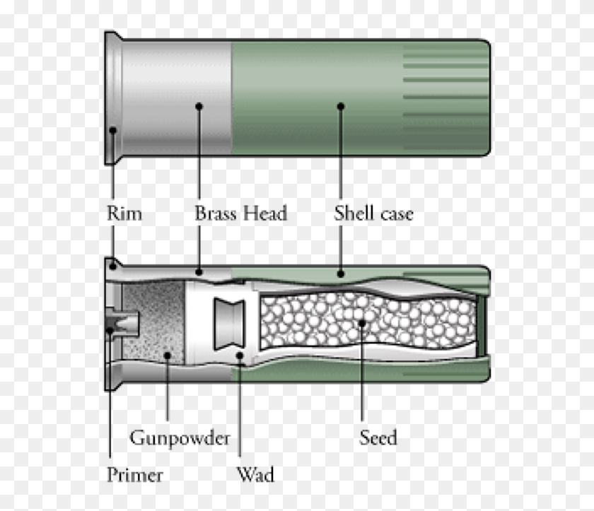 Shotgun Shell Drawing