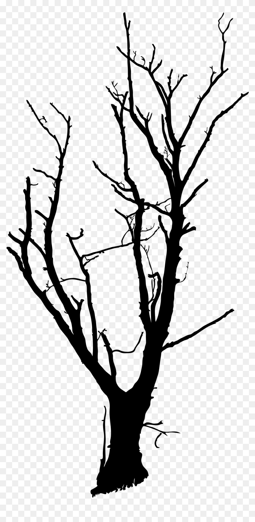 Tree Branch Line Drawing