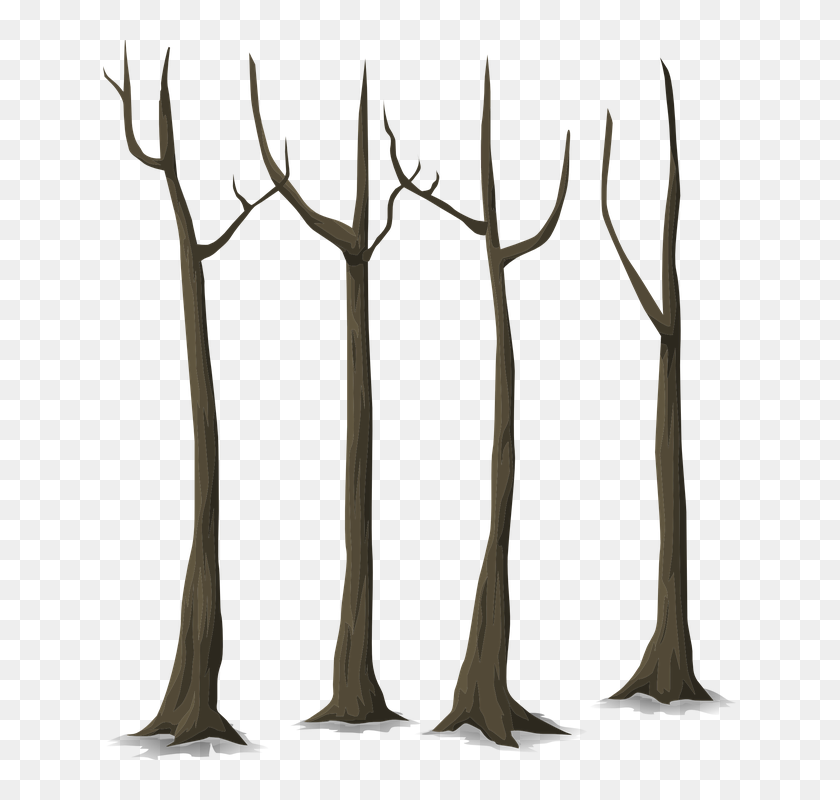 Transparent Dark Forest Png - Dead Trees Image Transparent, Png ...