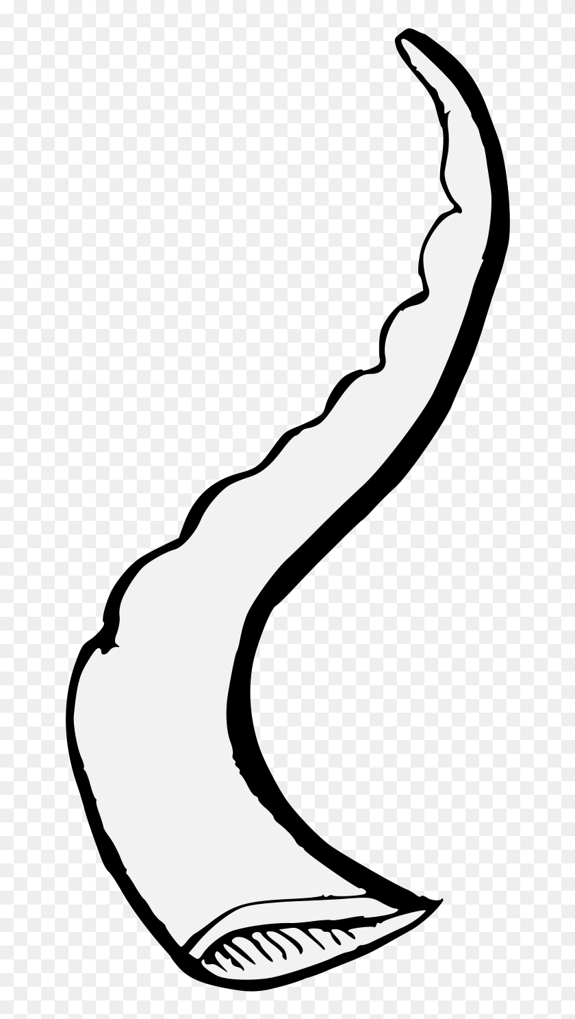 Ram S Horn Clipart , Png Download - Ram Horns Clipart, Transparent Png ...
