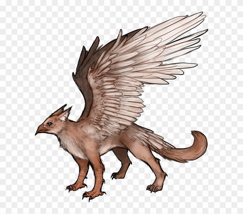 These Gryphons Are Found In More Temperate Climates - Illustration, HD ...