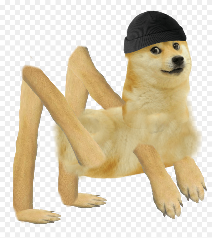 Doge Transparante Achtergrond Png