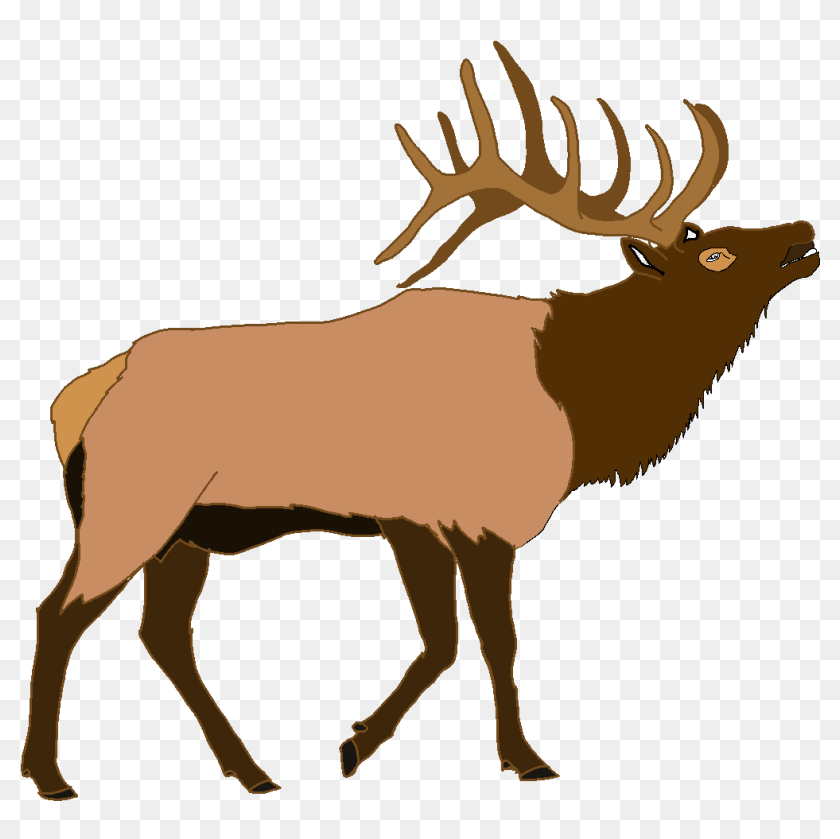 Elk Clip Art