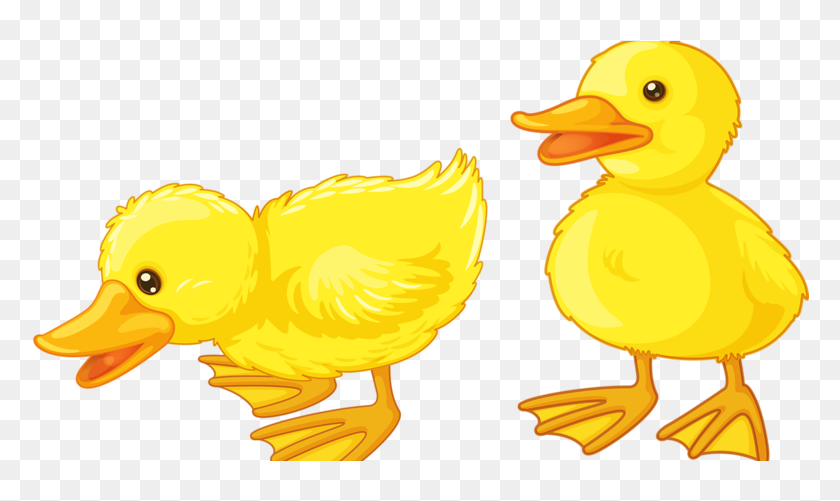 Objects In Five, HD Png Download - 800x420(#6906683) - PngFind