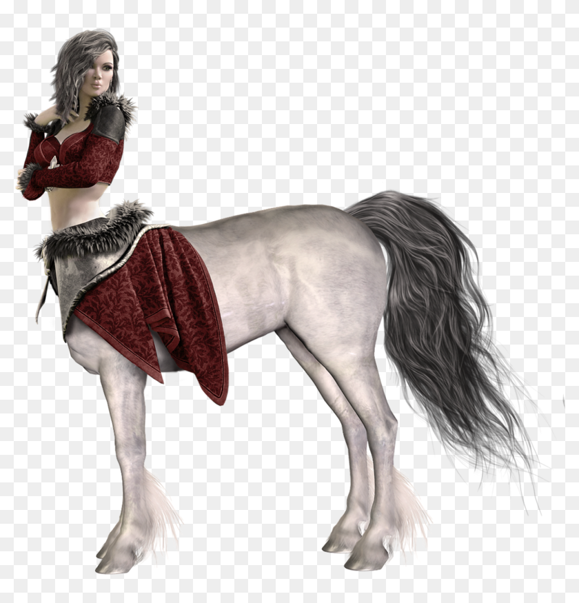 Centaur Transparent Background, HD Png Download - 800x795(#6932379 ...
