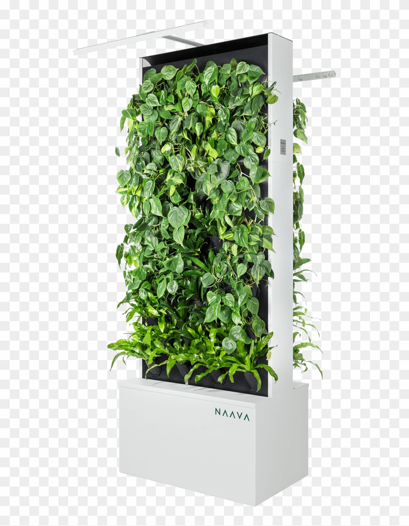 Naava Duo White Oblique - Naava Green Wall, HD Png Download - 640x1120 ...