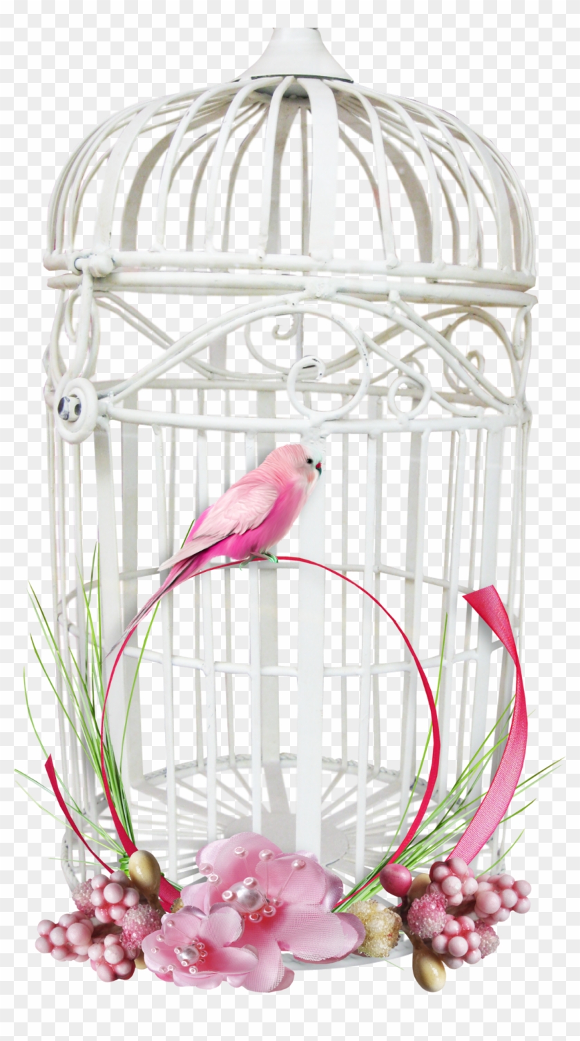 White Bird Cage Png Image - Open Cage Transparent Background, Png ...