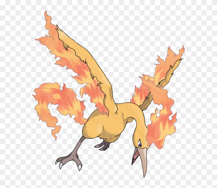 Moltres - Moltres Transparent, HD Png Download - 591x651(#704261) - PngFind