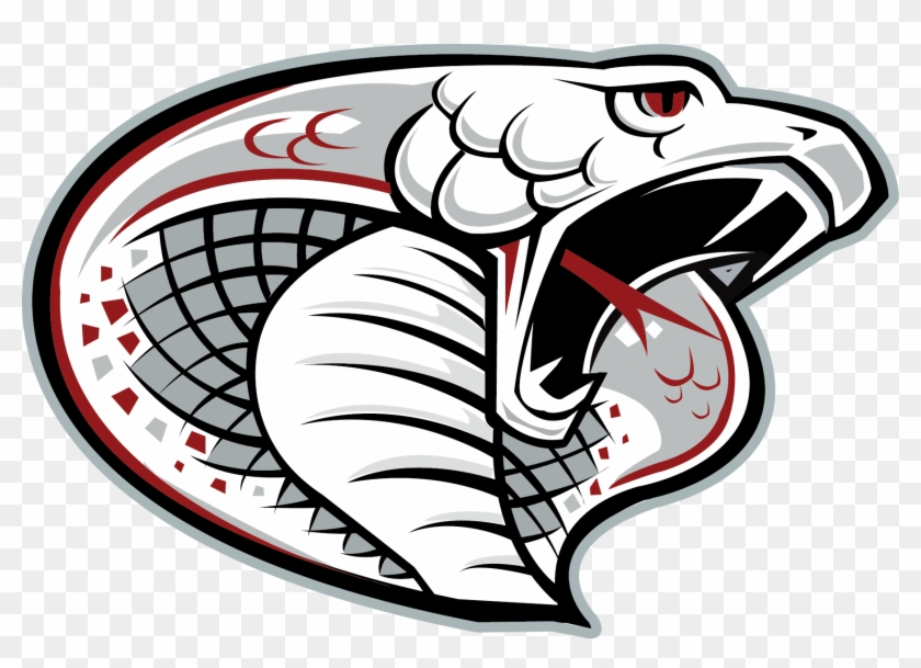 Cobra Png, Transparent Png - 1787x1211(#706656) - PngFind