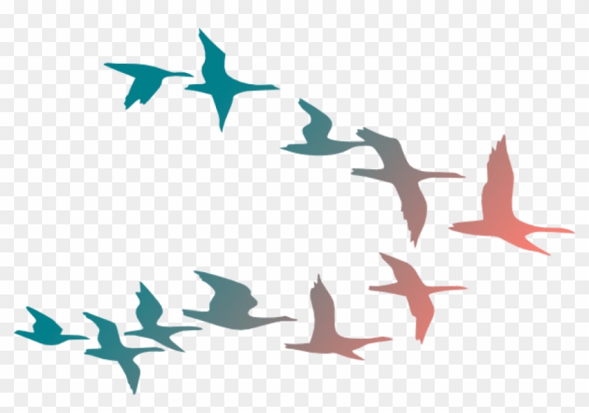 Free Png Download Colorful Flying Birds Png Images - Colorful Flying ...