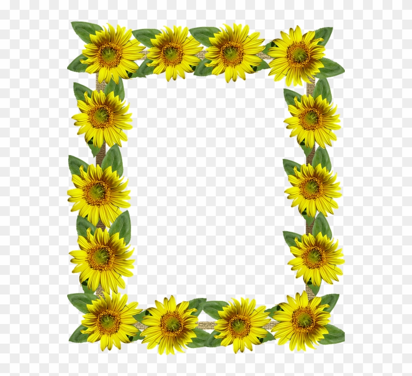 Frame, Border, Sunflowers - Sunflower Frame Png, Transparent Png ...