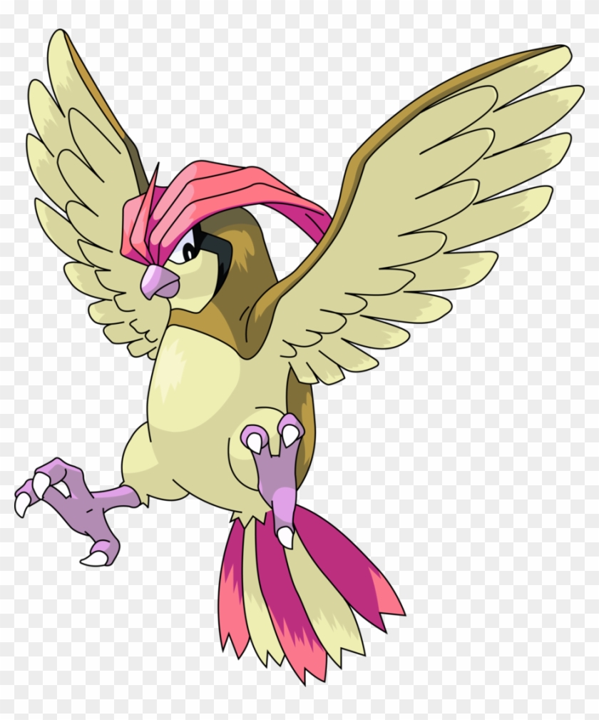 Pidgeotto - Pokemon Pidgeotto, HD Png Download - 900x1039(#748000 ... Pidgeotto - Pokemon Pidgeotto, HD Png Download - 900x1039(#748000 ...