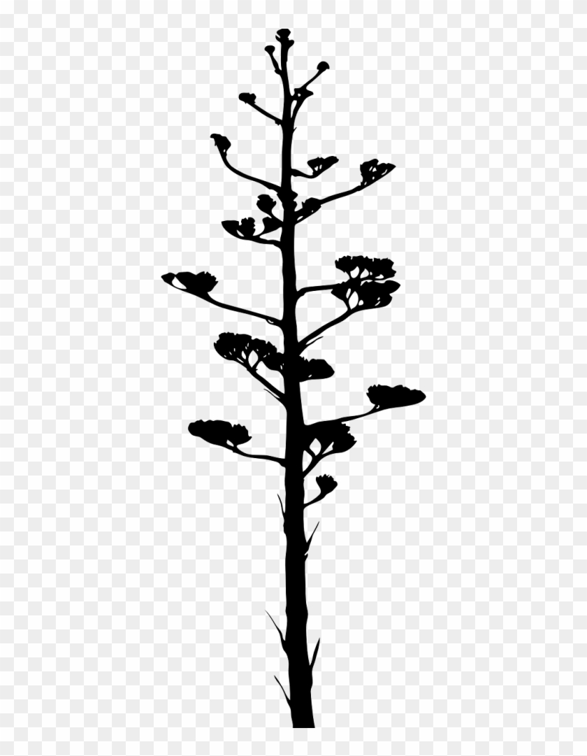 Vector Graphics - Agave Plant Silhouette, HD Png Download - 500x1000 ...