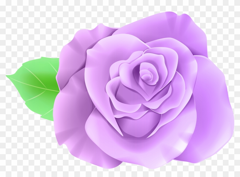 Single Rose , Png Download, Transparent Png - 7927x5477(#756889) - PngFind