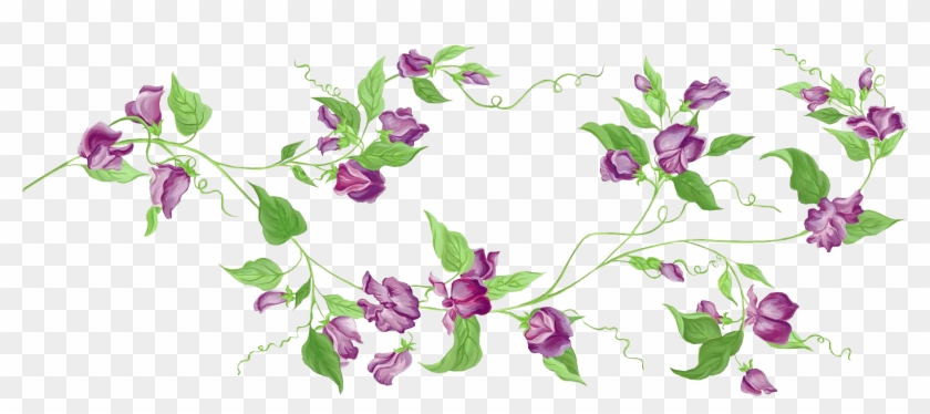 Flower Vine Transparent Background, HD Png Download - 1824x764(#764951 ...
