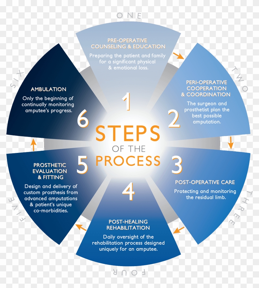 Six Step Process Wheel White Background - Circle, HD Png Download ...
