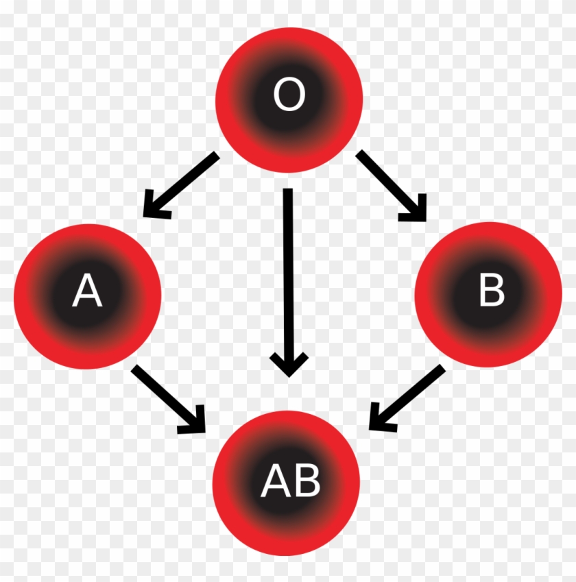Blood Compatibility - Four Blood Types, HD Png Download - 797x768 ...