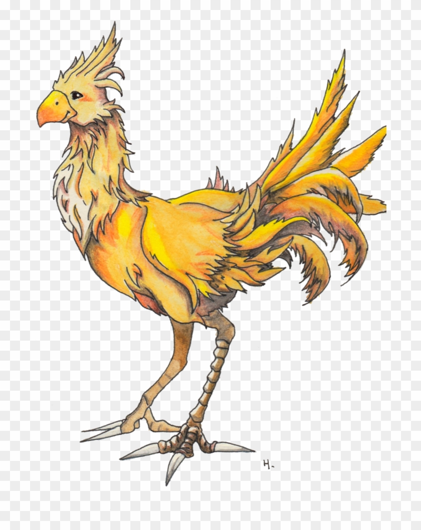 Chocobo Png, Transparent Png - 781x1023(#796401) - PngFind