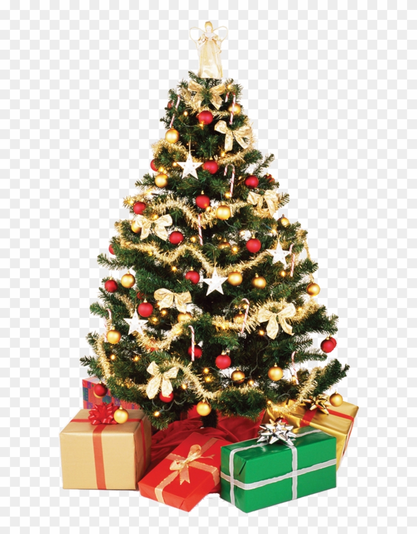 Christmas Tree Png - High Resolution Christmas Tree, Transparent Png ... Christmas Tree Png - High Resolution Christmas Tree, Transparent Png ...