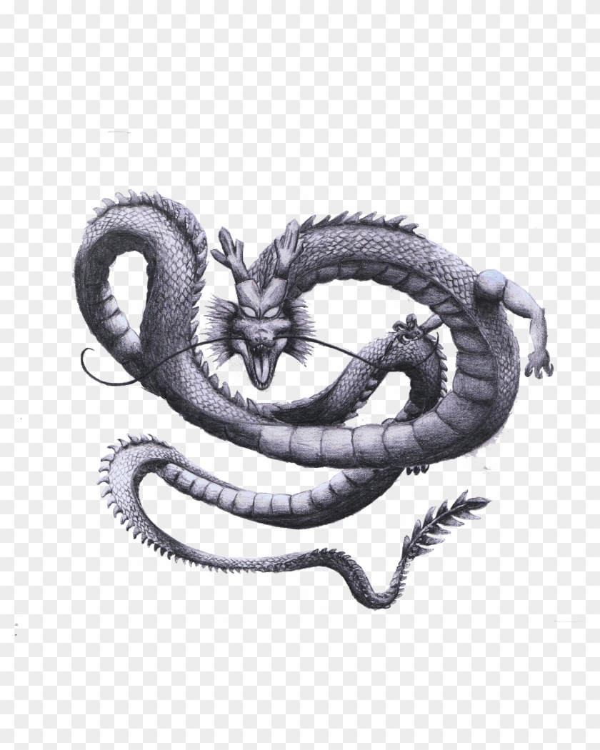 Drawing Of Shenron With A Transparent Background - Serpent, HD Png ...