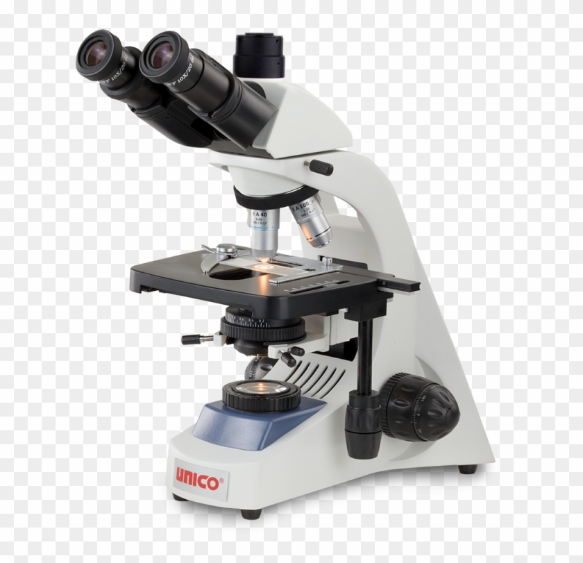 Microscope, HD Png Download - 800x800(#819532) - PngFind Microscope, HD Png Download - 800x800(#819532) - PngFind