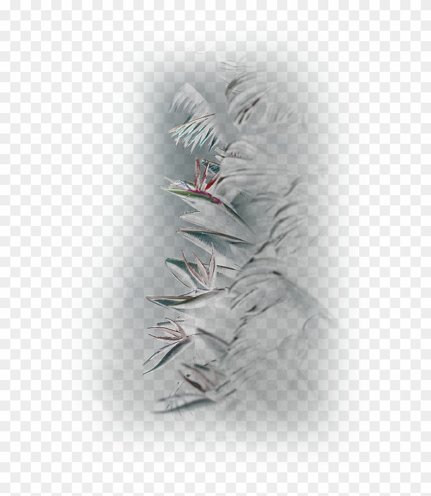 Technical Data - Illustration, HD Png Download - 611x900(#829915) - PngFind