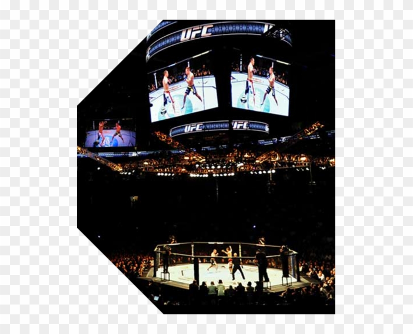 The Ufc® Hosts Most Of The Top-ranked Fighters In The - Scoreboard, HD ...