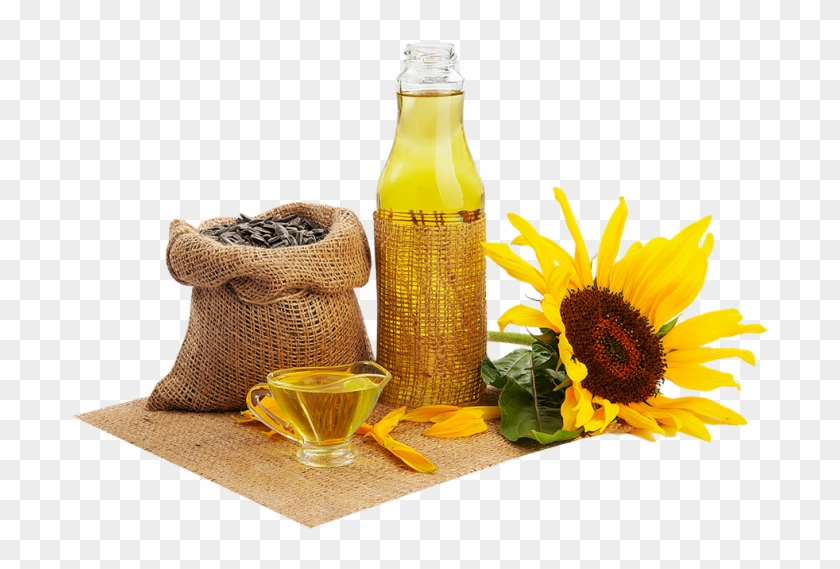 Sunflower Oil Png - Vegetable And Seed Oils, Transparent Png - 700x505 ...