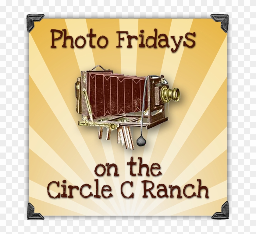 Lasso Lesson - Banner, HD Png Download - 700x700(#845503) - PngFind