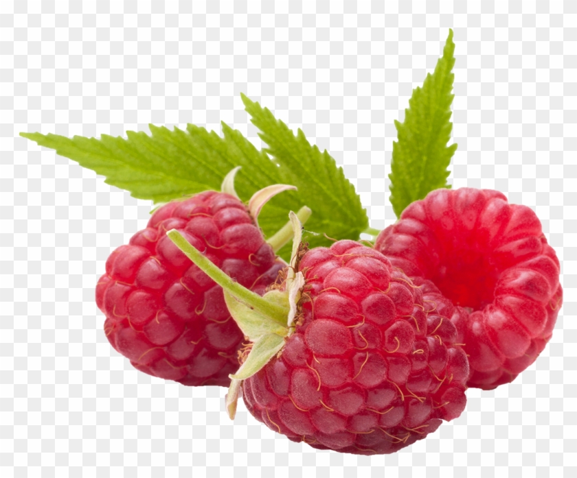 Raspberry Png, Transparent Png - 1181x1064(#852489) - PngFind