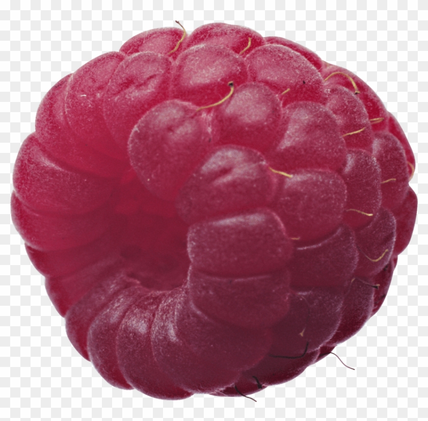 Download Raspberry Png Images Background - Framboise, Transparent Png ...