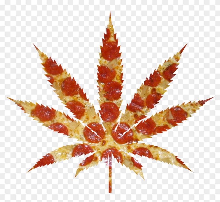 Weed Transparent Tumblr, HD Png Download - 969x842(#863434) - PngFind