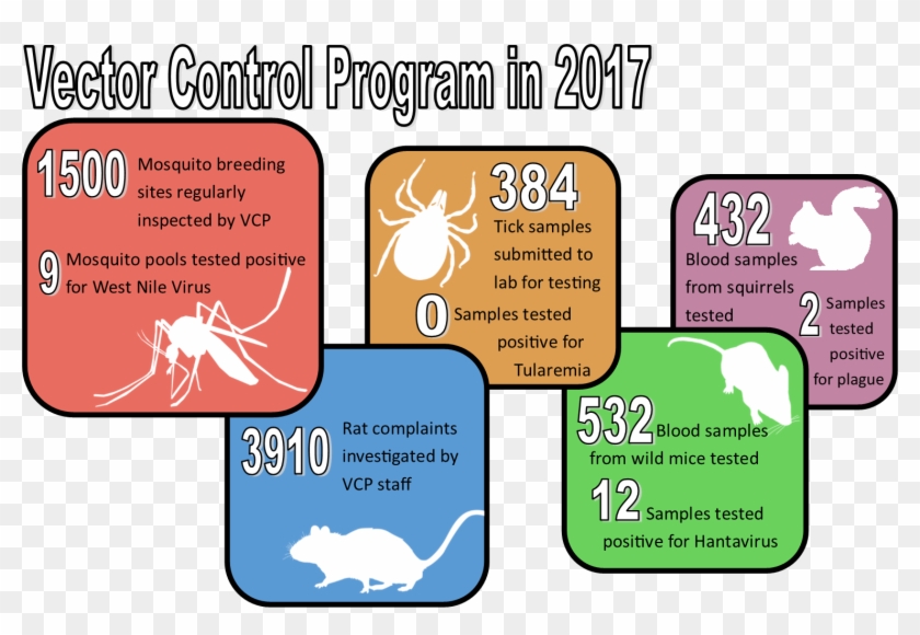 Mole Bridge, HD Png Download - 1519x978(#873312) - PngFind