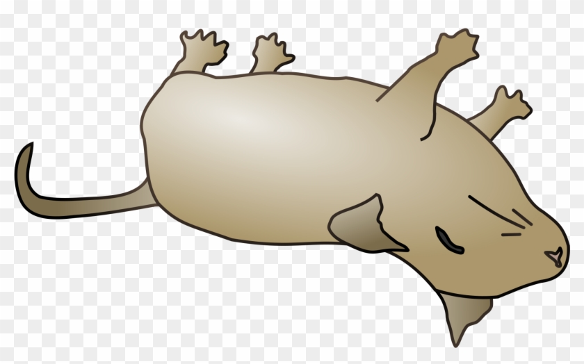 Dead Mouse Png - Dead Mouse Cartoon Png, Transparent Png - 2000x1163 ...