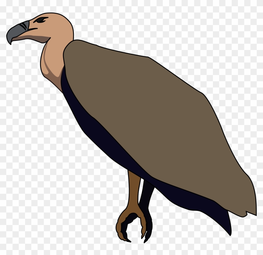 Turkey Vulture Beaky Buzzard Bird Of Prey - Vulture Clip Art, HD Png ...