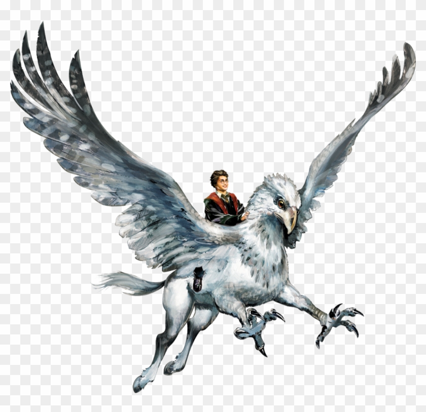 Harry05 Cap Hpe3 - Harry Potter Buckbeak Png, Transparent Png ...